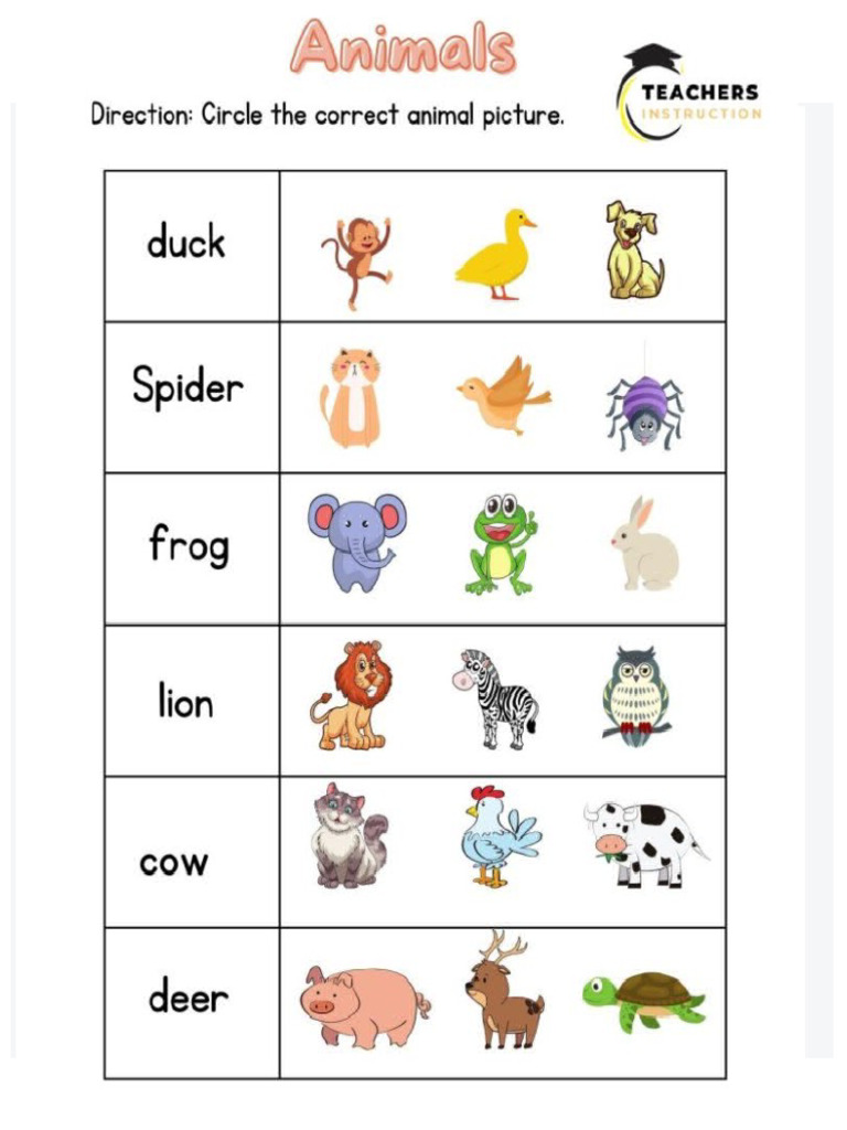 Animals Worksheet | PDF