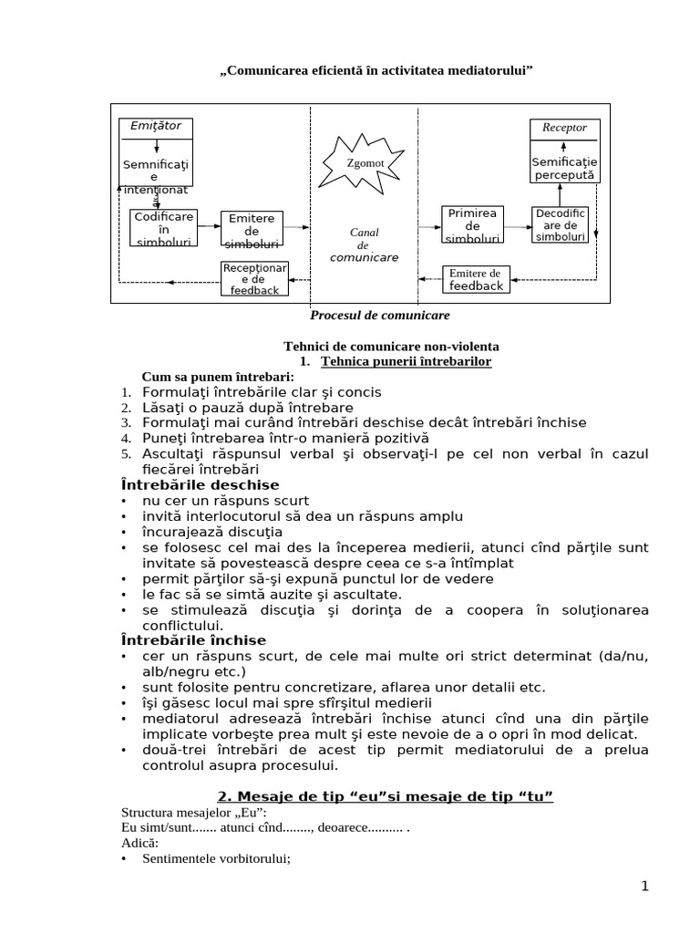 Suport Informativ La Comunicare | PDF
