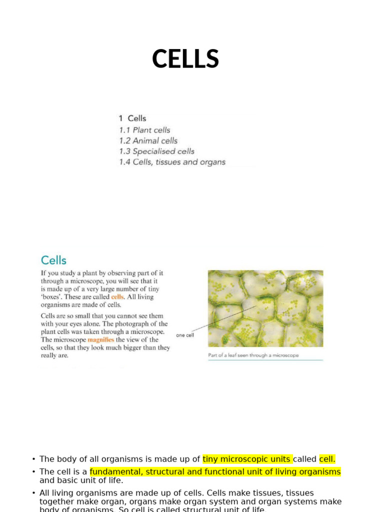 CELLS-GRADE 6th | PDF