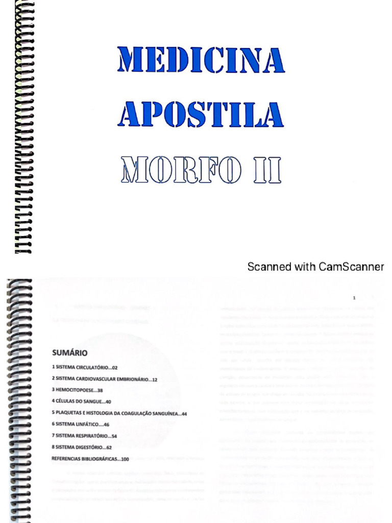 Apostila Evaldo 2023 - MORFO 2(1)_241008_164644 | PDF
