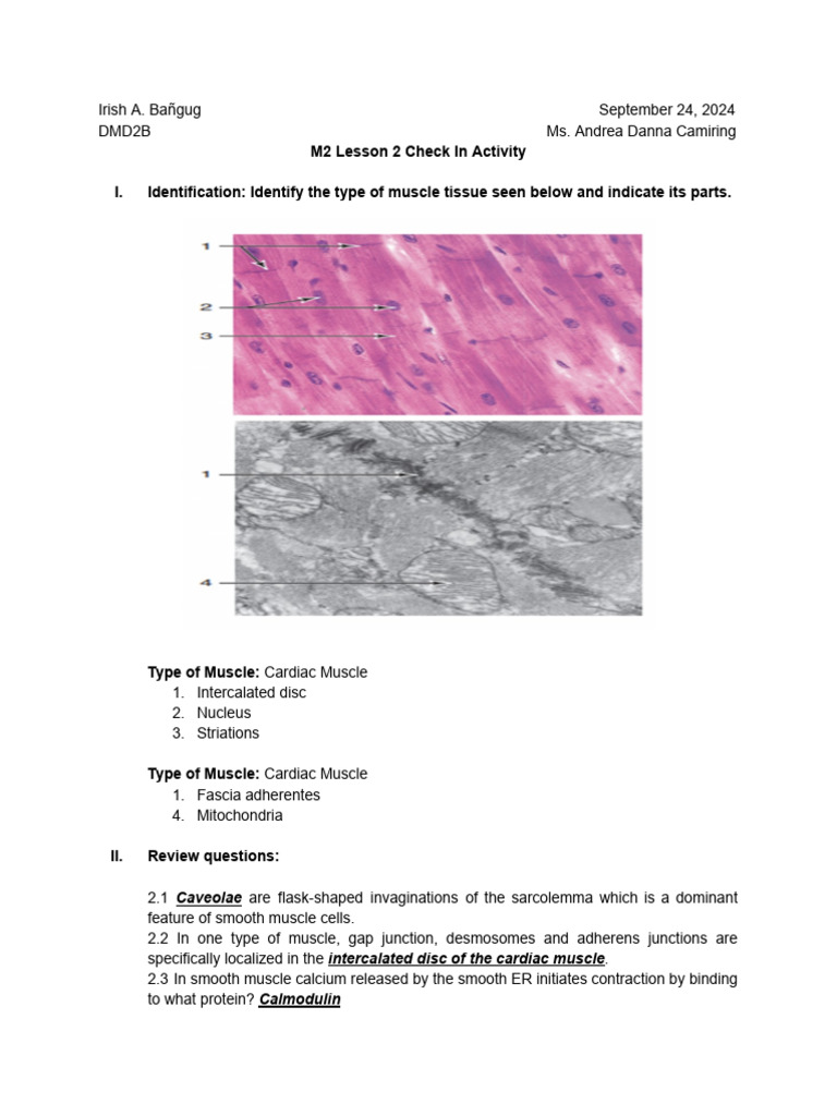 Histo Lab M2L2 CIA (1) | PDF