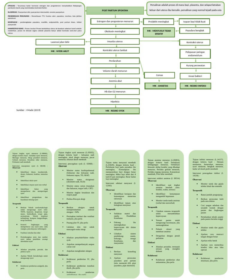 WOC POST PARTUM SPONTAN | PDF