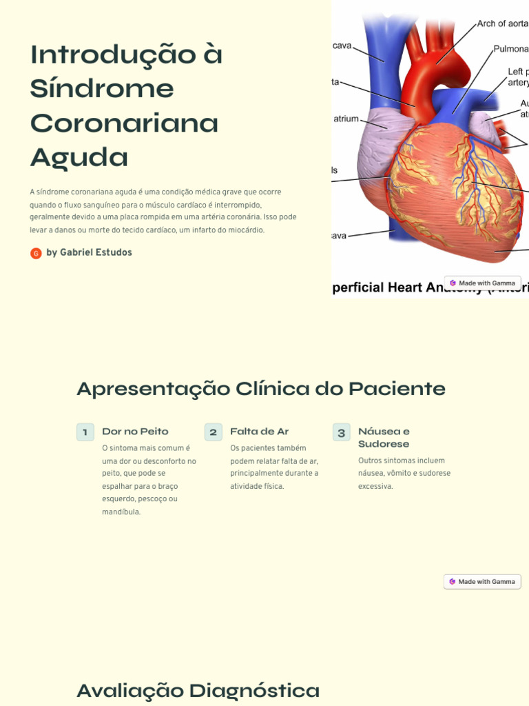 Introducao A Sindrome Coronariana Aguda | PDF