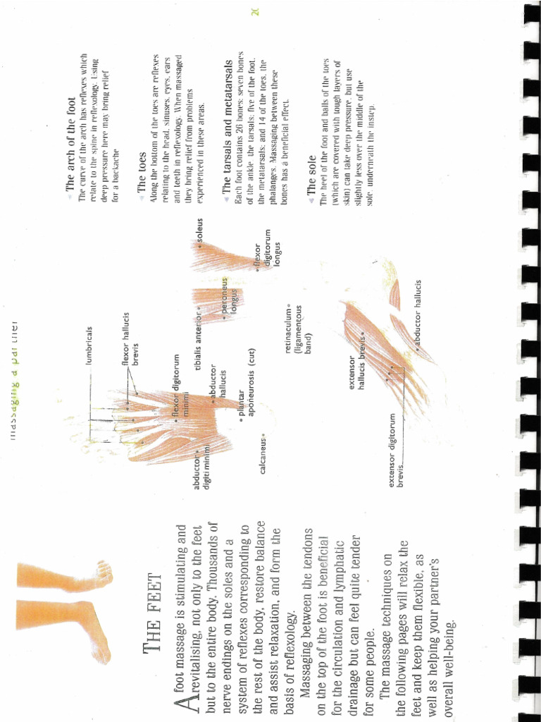 Massage.the.Feet. | PDF