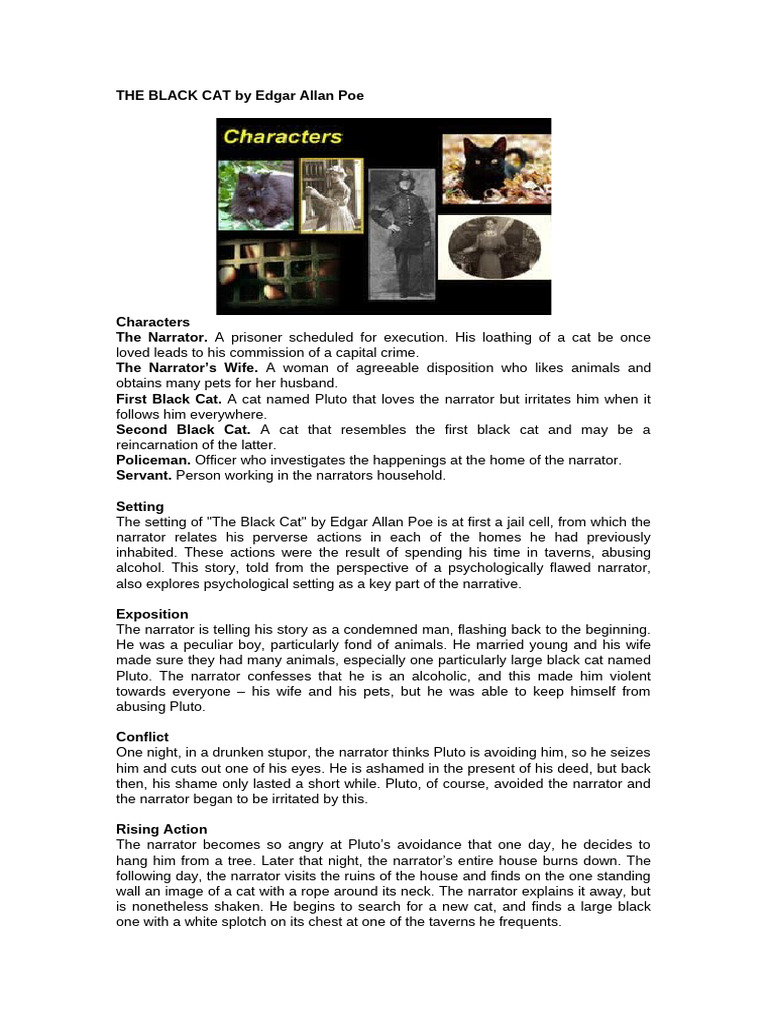 THE BLACK CAT by Edgar Allan Poe | PDF