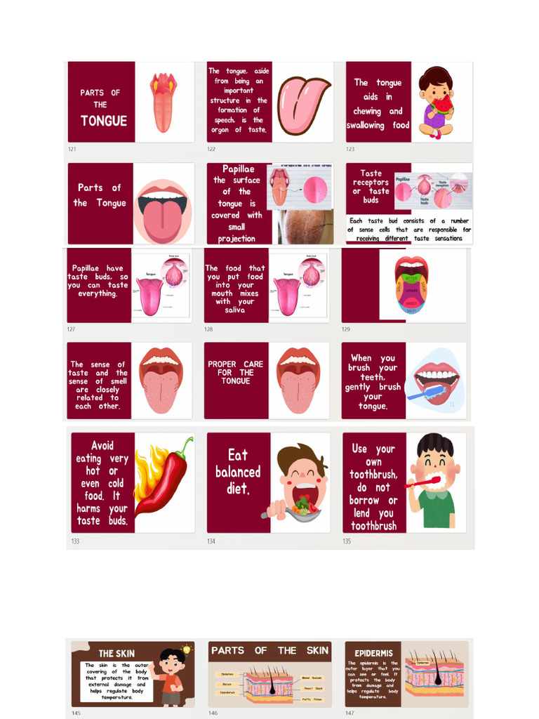 Parts of The Tongue and Skin SSC | PDF