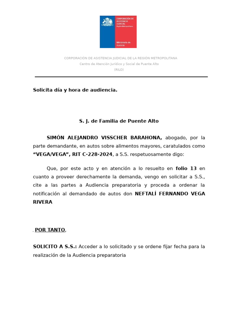 Formato solicita audiencia | PDF