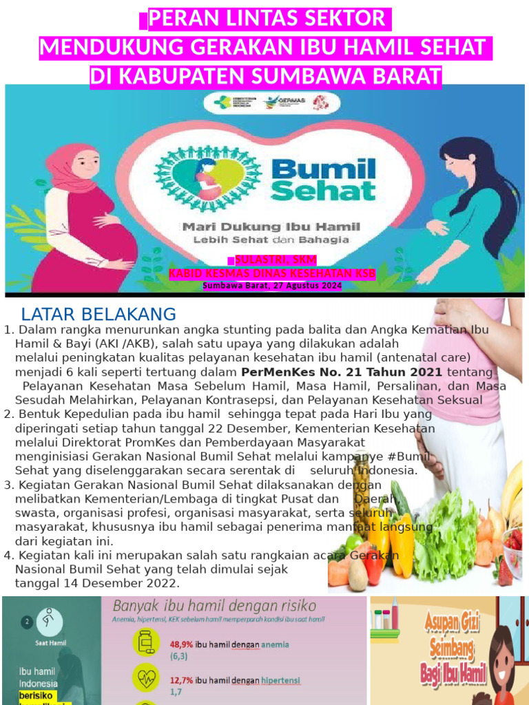 Peran Linsek Gerakan Bumil Sehat | PDF