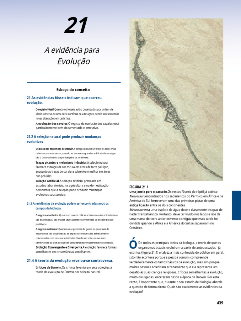 Texto TP2 (1) .En - PT-PT | PDF