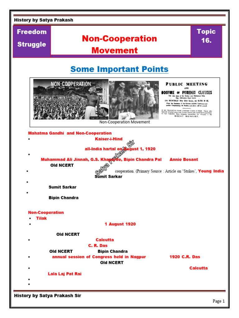 Non-Cooperation | PDF