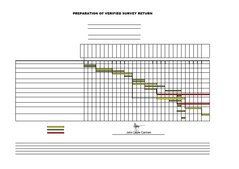 Complex VSR Preparation Monitoring Form | PDF
