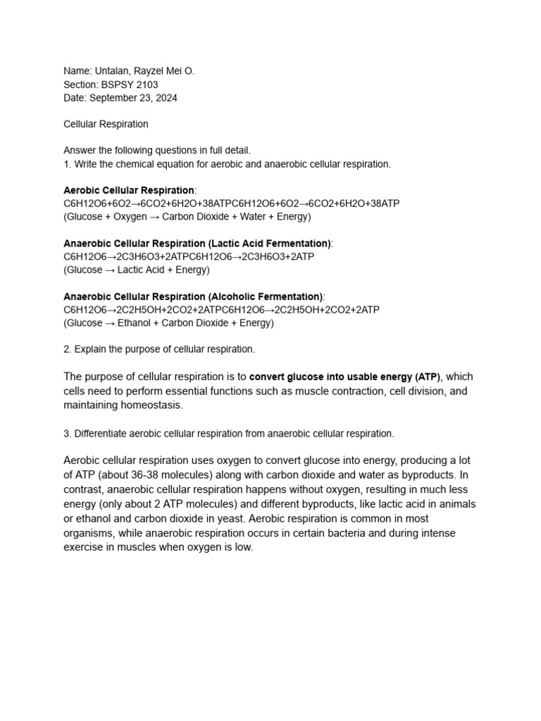 Cellular Respiration | PDF