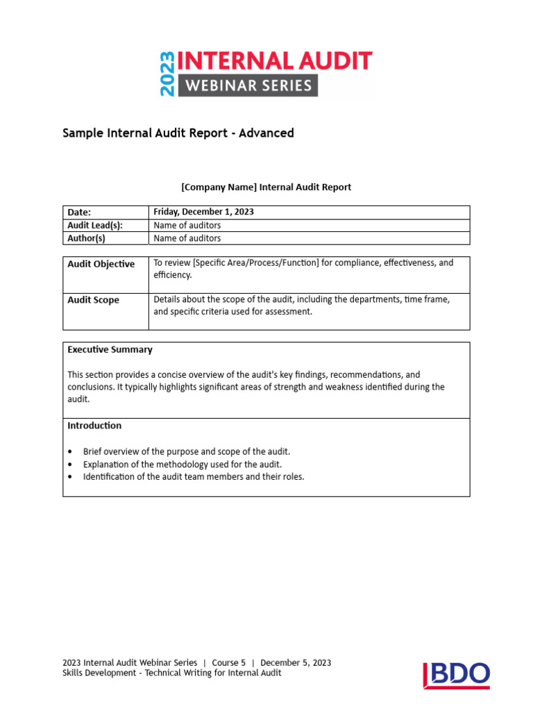 Sample Audit Report Advanced | PDF