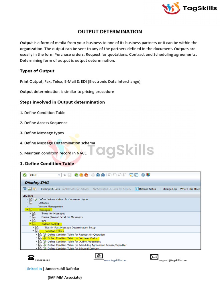 Output Determination | PDF