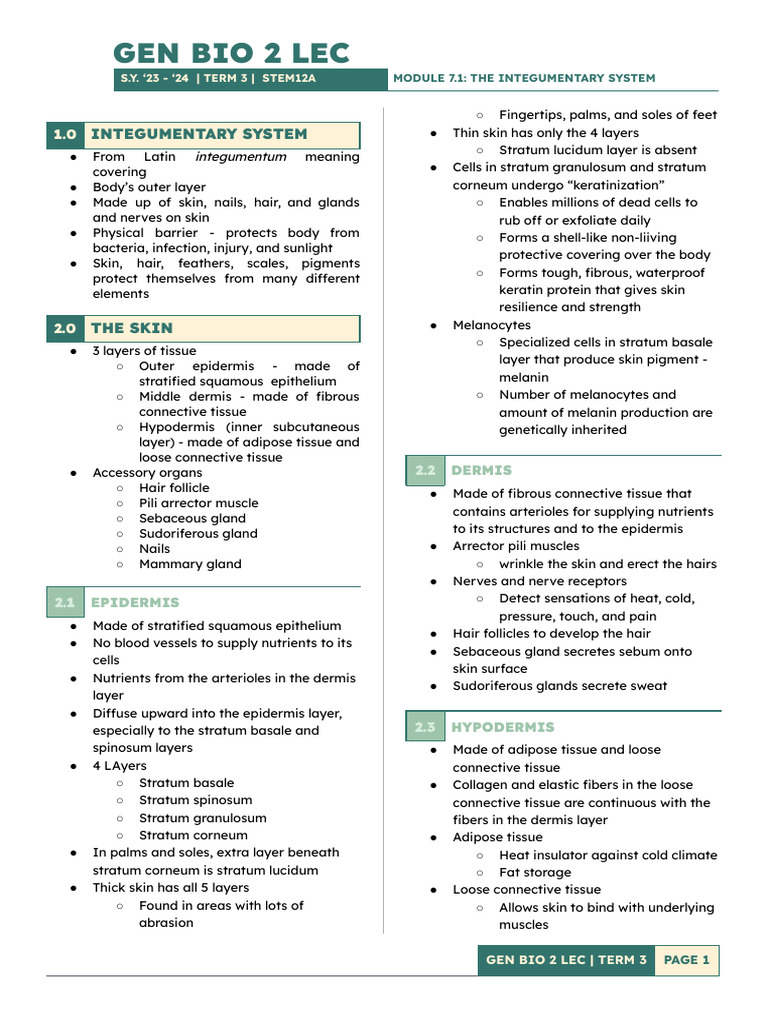 Genbiolec2 Module 7 1 The Integumentary System Pdf