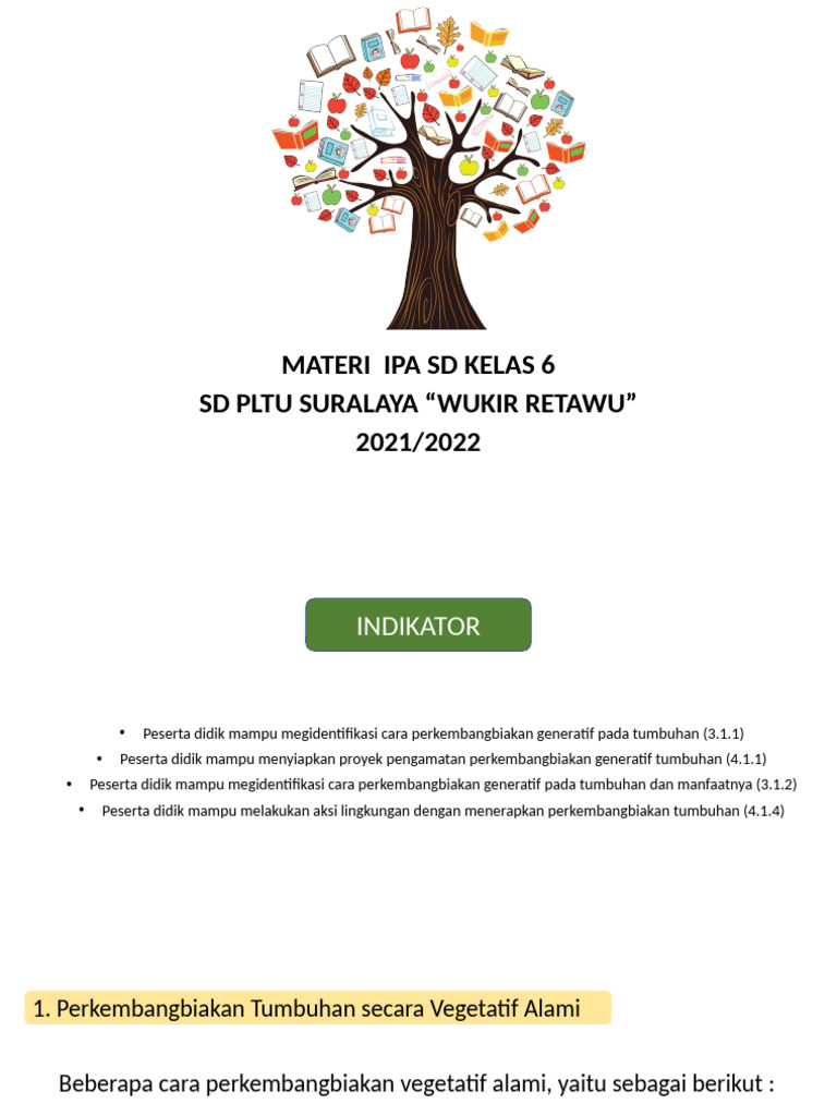 IPA - Tema 1 Subtema 2 | PDF