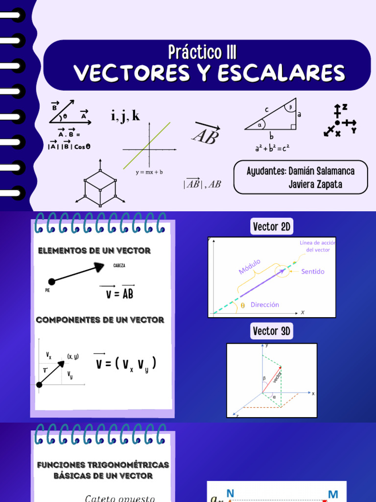 Practico III Vectores y Escalares | PDF