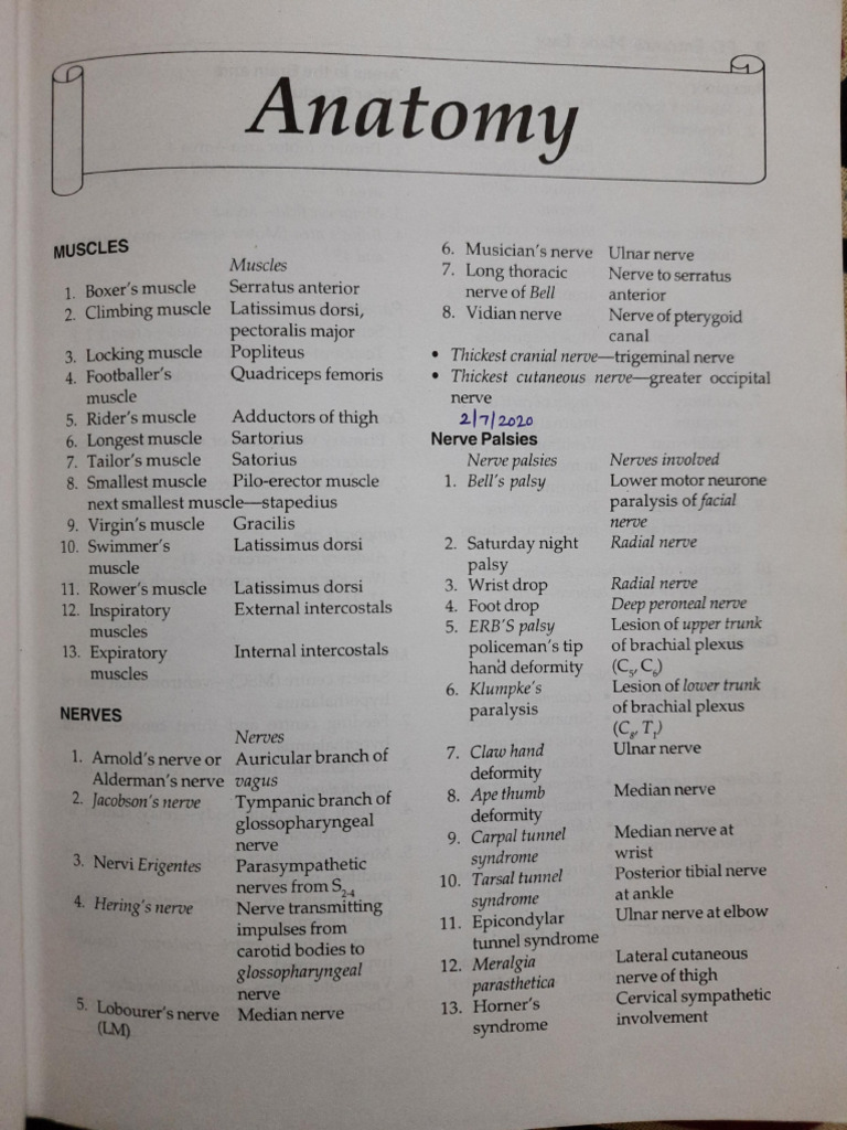 Anatomy PG Made Easy | PDF