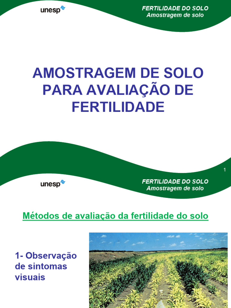 Amostragem de Solo 2020 | PDF | Amostragem (Estatística) | Solo