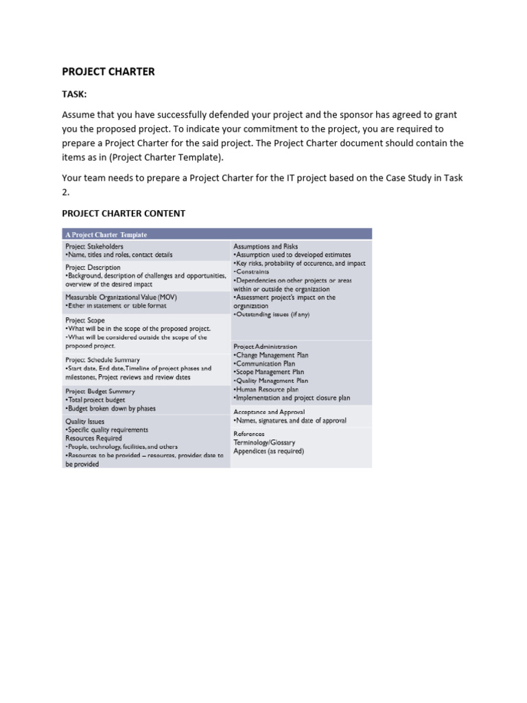 Project Charter Assignment | PDF