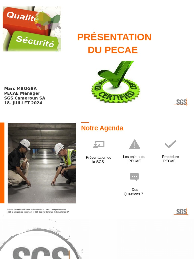 Presentation Pecae SGS | PDF