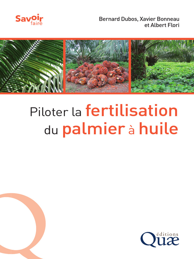 Palmier A Huile 5 Lettres