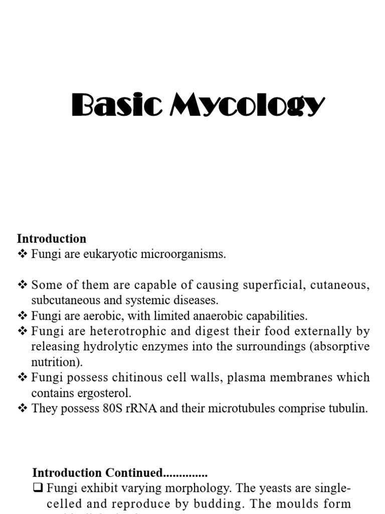Basic Mycology (MCB1204) Note A-August-2024 S | PDF