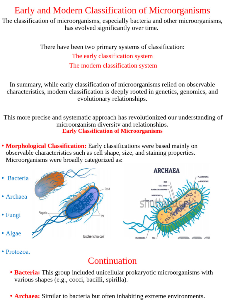 BMS 2.1 LECTURE3 On Early and Modern Classification of Microorganisms | PDF