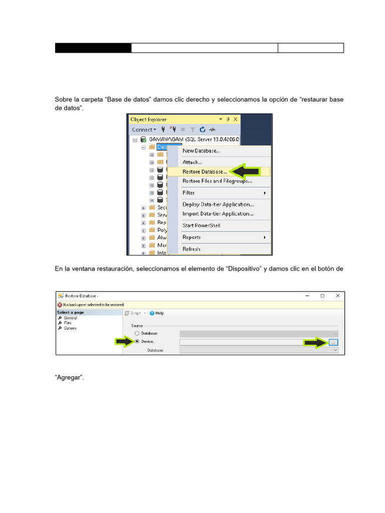 Restaurar BD Bak en SQL Server 2019 | PDF