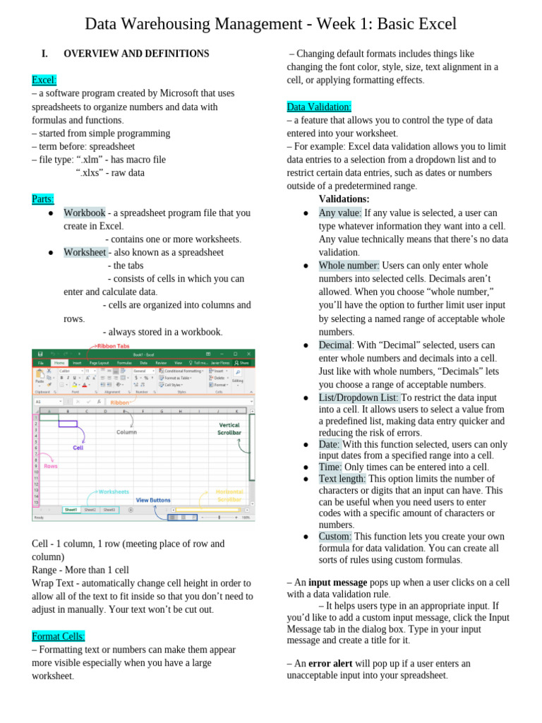 DWM Week 1 - Basic Excel | PDF