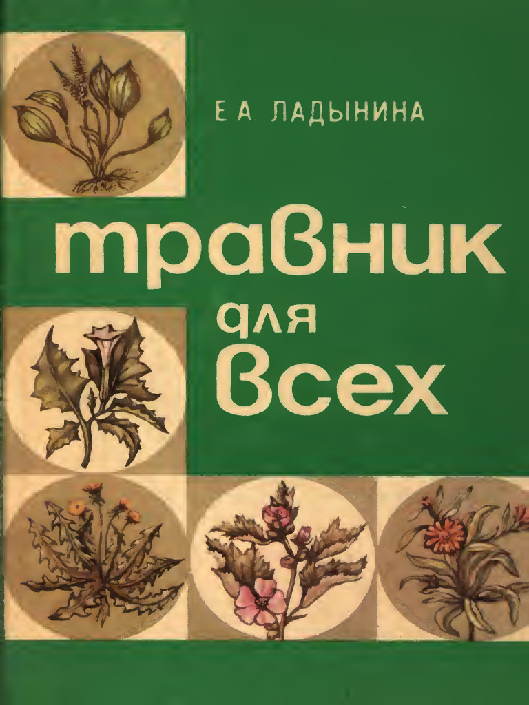 B 001 024 080 | PDF