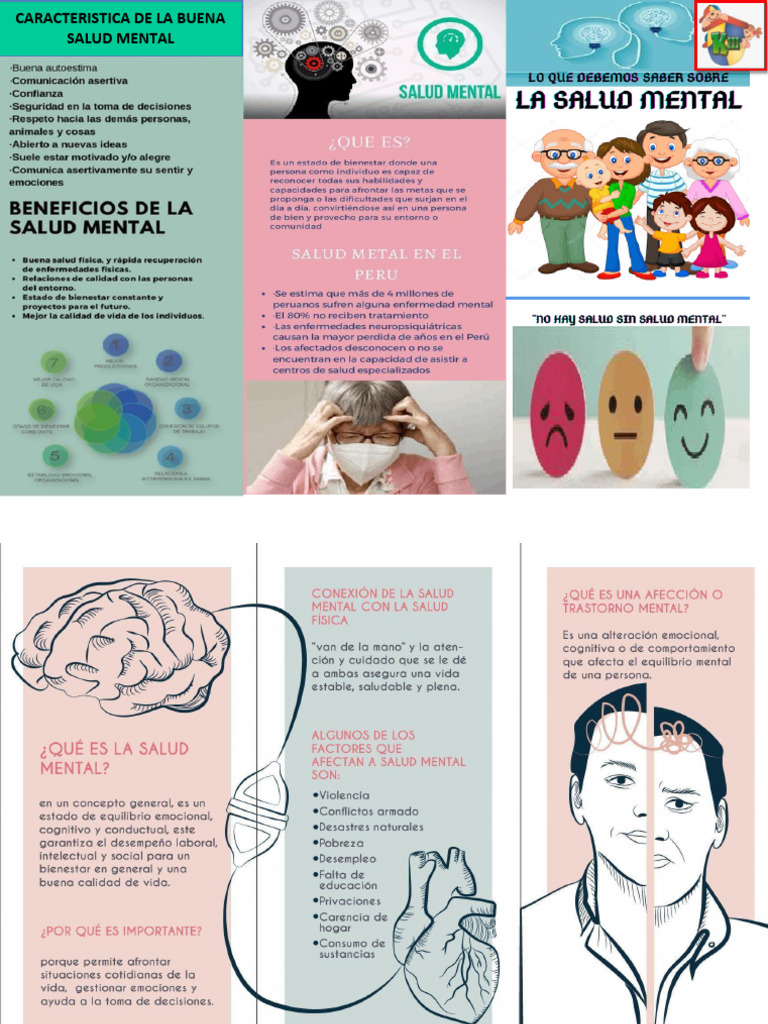 Triptico de La Salud | PDF