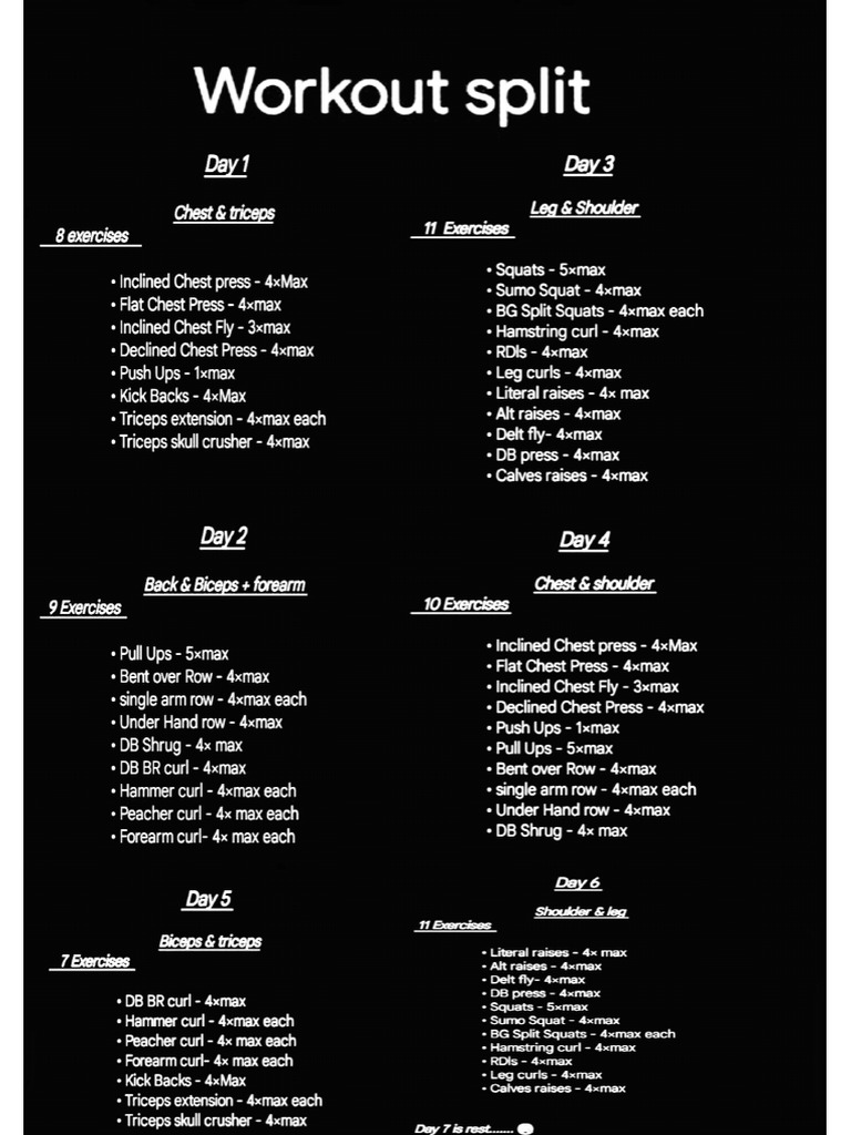 Workout Program by DUP High Level | PDF