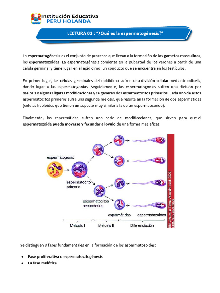 4to-Lect 03-Unidad 06 | PDF | Sistema endocrino | Ciencias sociales