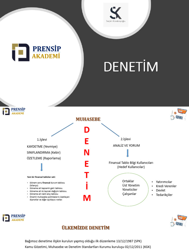Denetim Prensip | PDF