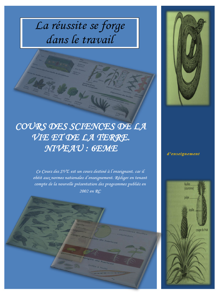 SVT 6ème | PDF