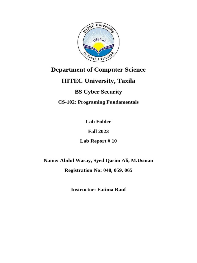 PF Lab Report 10 | PDF