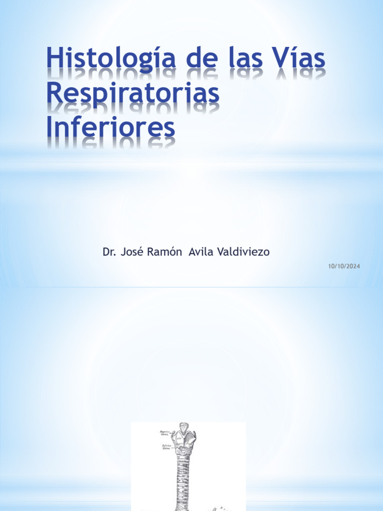 7 Vías Respiratorias Inferiores | PDF