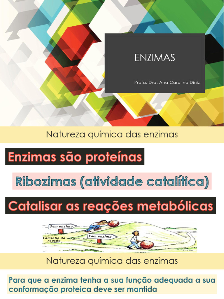 Aula 03 Enzimas | PDF