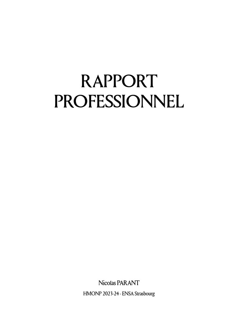 Rapport Pro | PDF