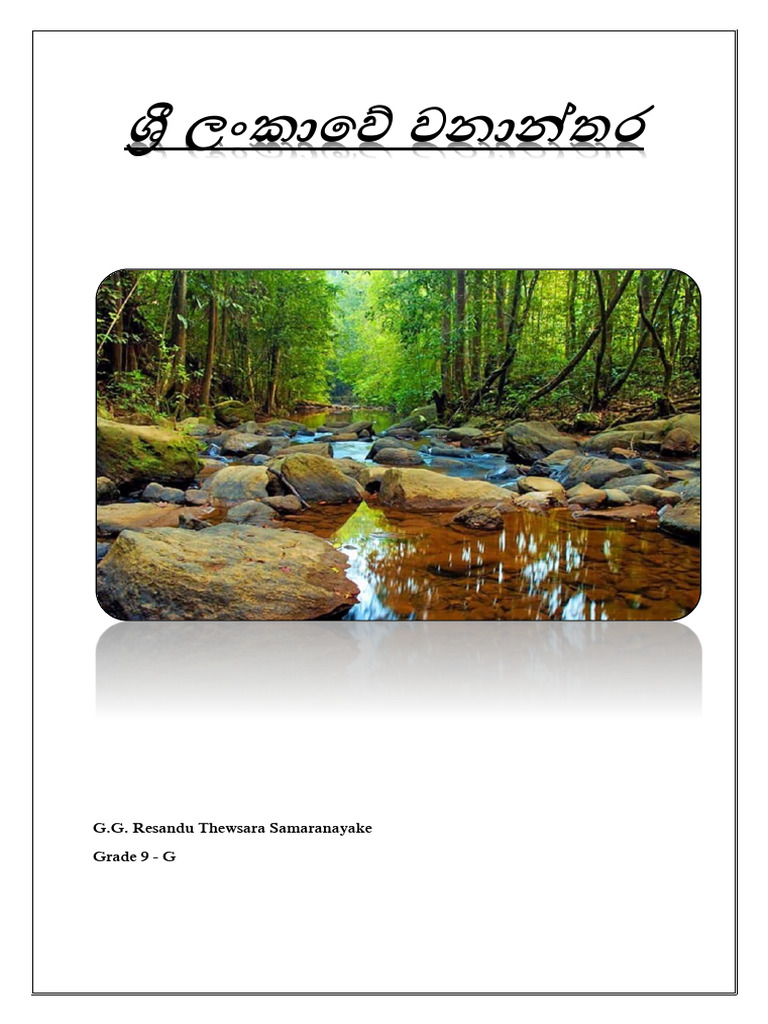 Geography Pdf Pdf