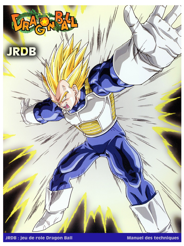 JRDB Manuel Des Techniques | PDF