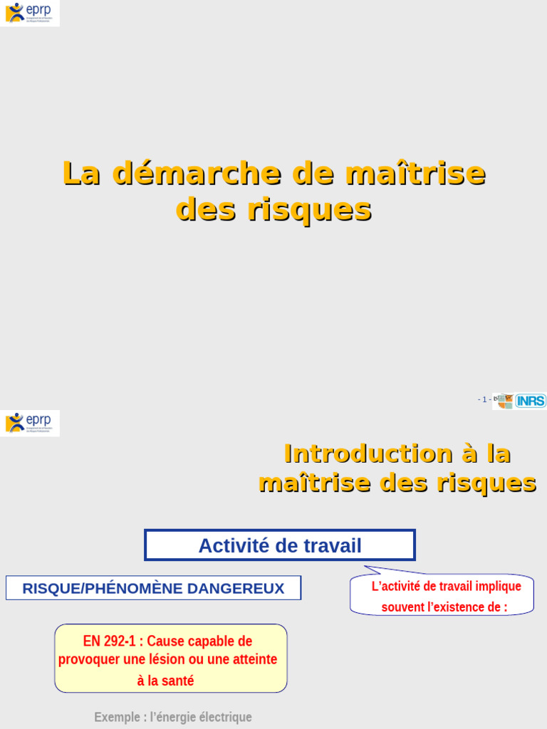 Démarche de Maîtrise Des Risques | PDF
