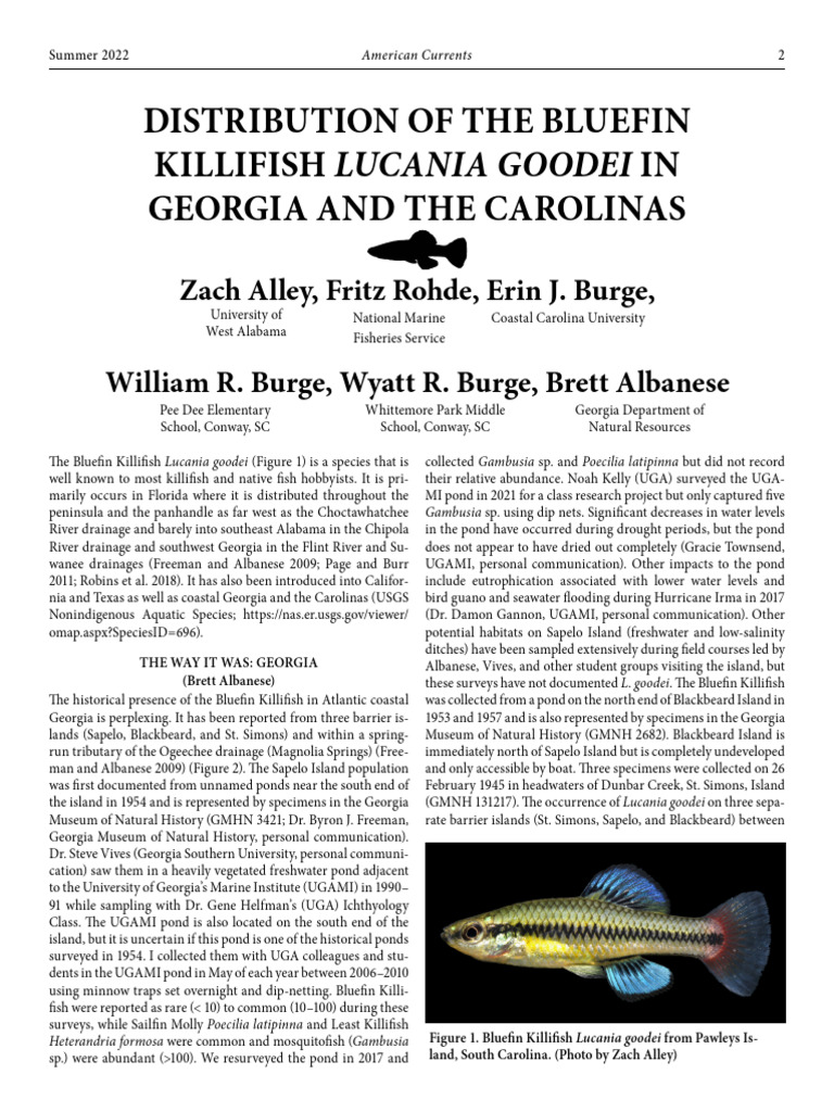 Bluefin Killifish Georgia Carolinas Distribution | PDF