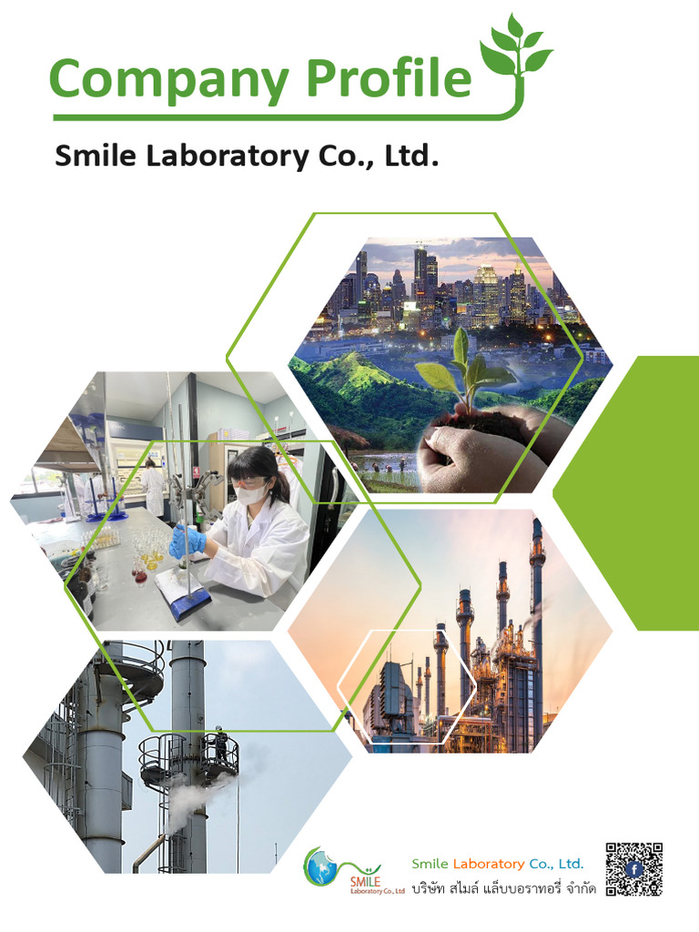 Company Profile 2024 | PDF