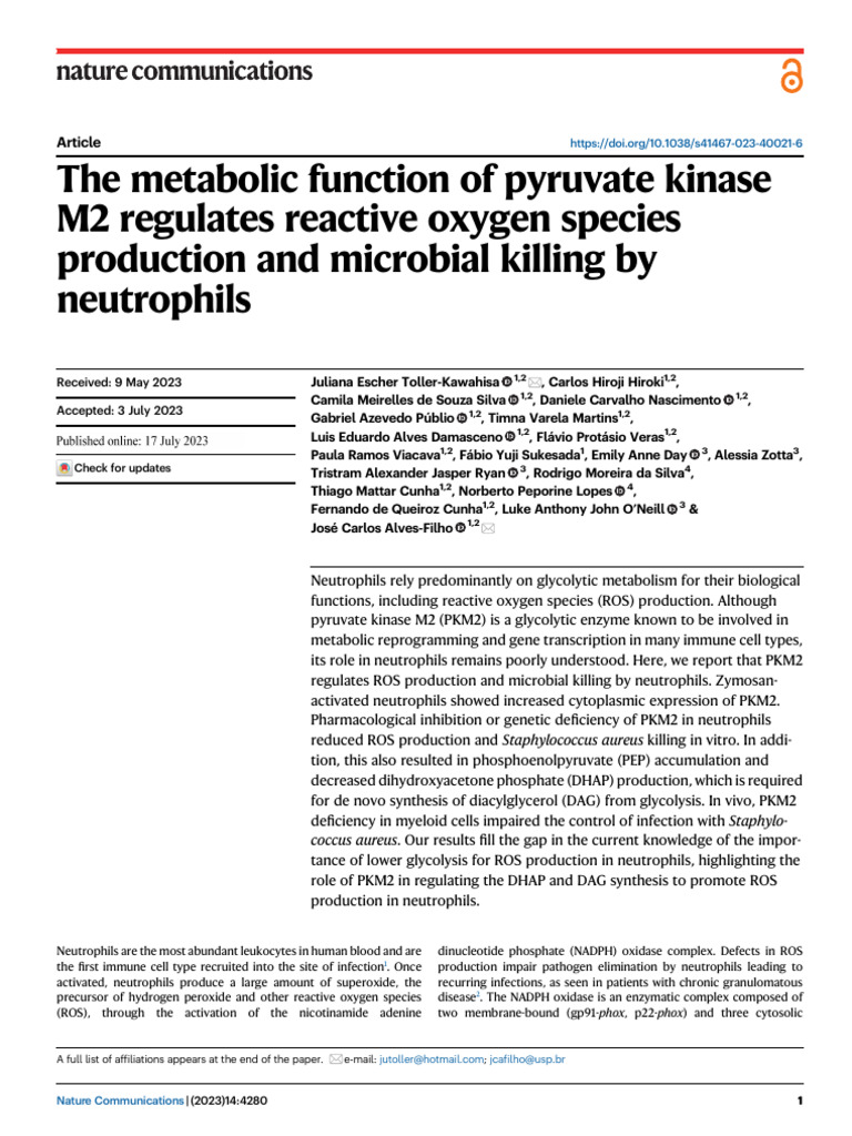 PKM2 and Neutrophil | PDF
