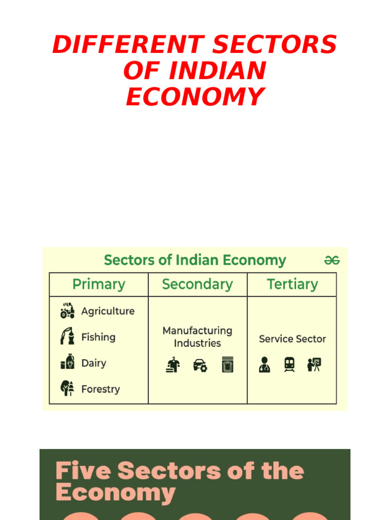 Different Sectors of Indian Economy 3 | PDF