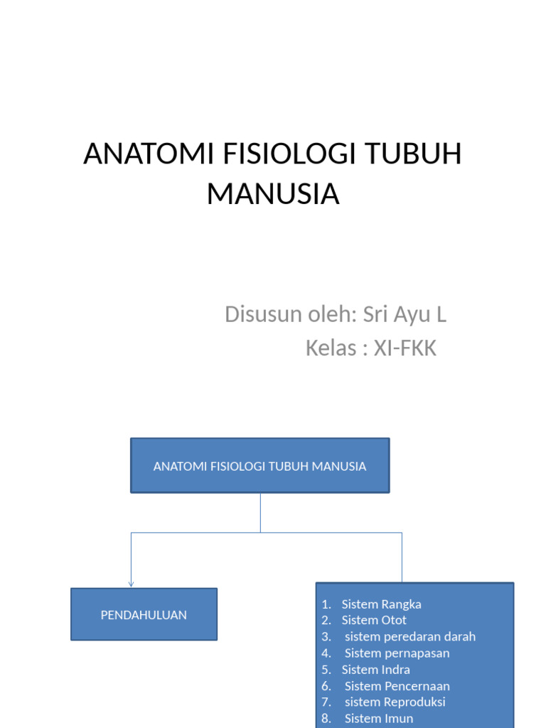 Anatomi Fisiologi Tubuh Manusia | PDF