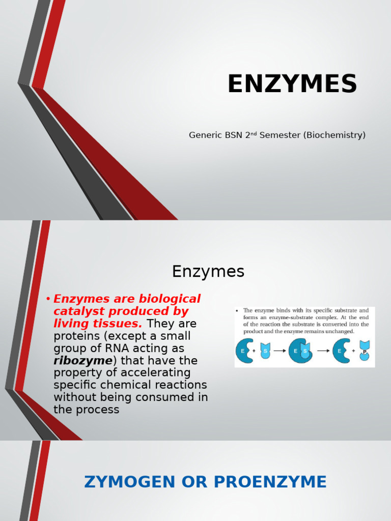 Enzymes | PDF