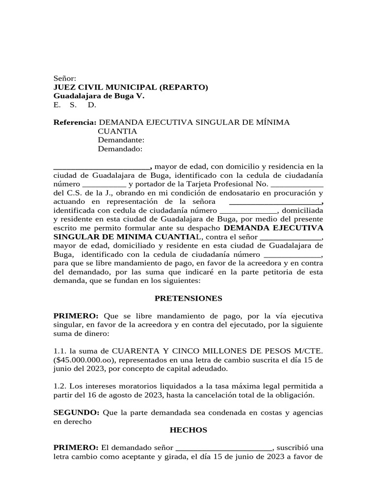 Demanda Ejecutiva | PDF